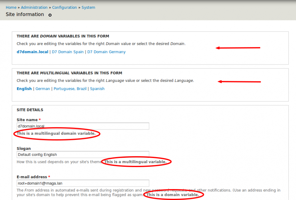 Drupal Internationalization + Domain Access - Multilingual Variables for each Domain | reyero.net